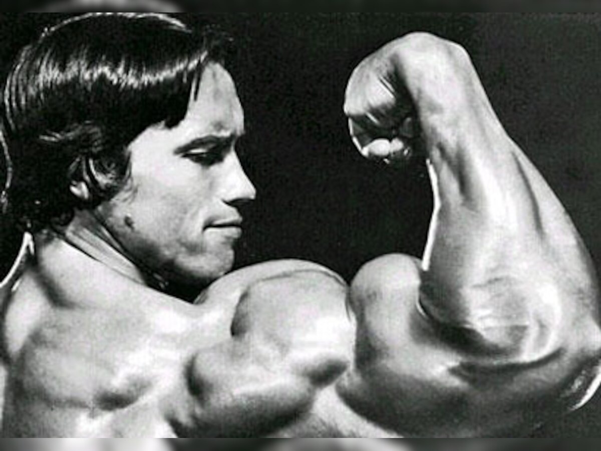 Sylvester Stallone's new 'Rambo' film, Arnold Schwarzenegger's comeback ...