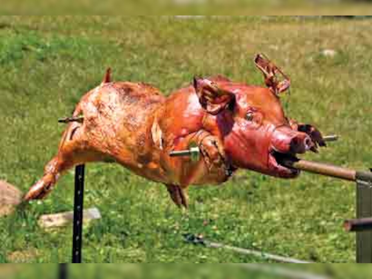 Pigging out in Segovia