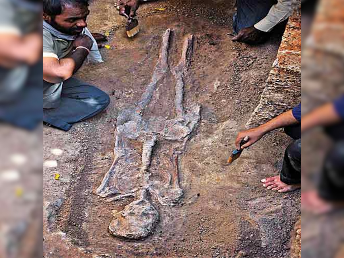 4,000 year-old human skeleton found in Odisha