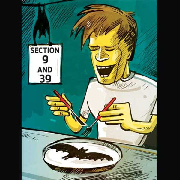 Meghalaya governor RS Mooshahary advises people to eat bat meat