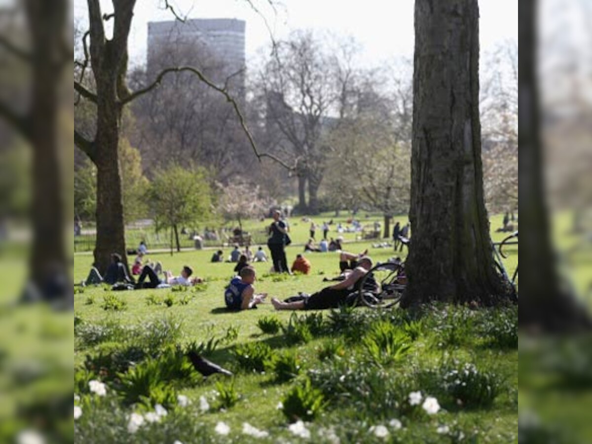 World Environment Day: Dia Mirza, John Abraham and Neha Dhupiya's green ...