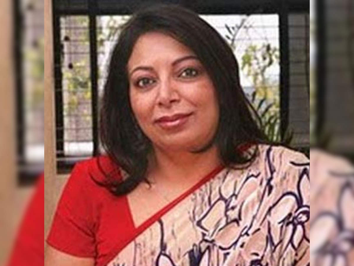 2G scam: Nira Radia's lawyer says court must not pick and choose ...