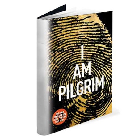 Book review: 'I Am Pilgrim'