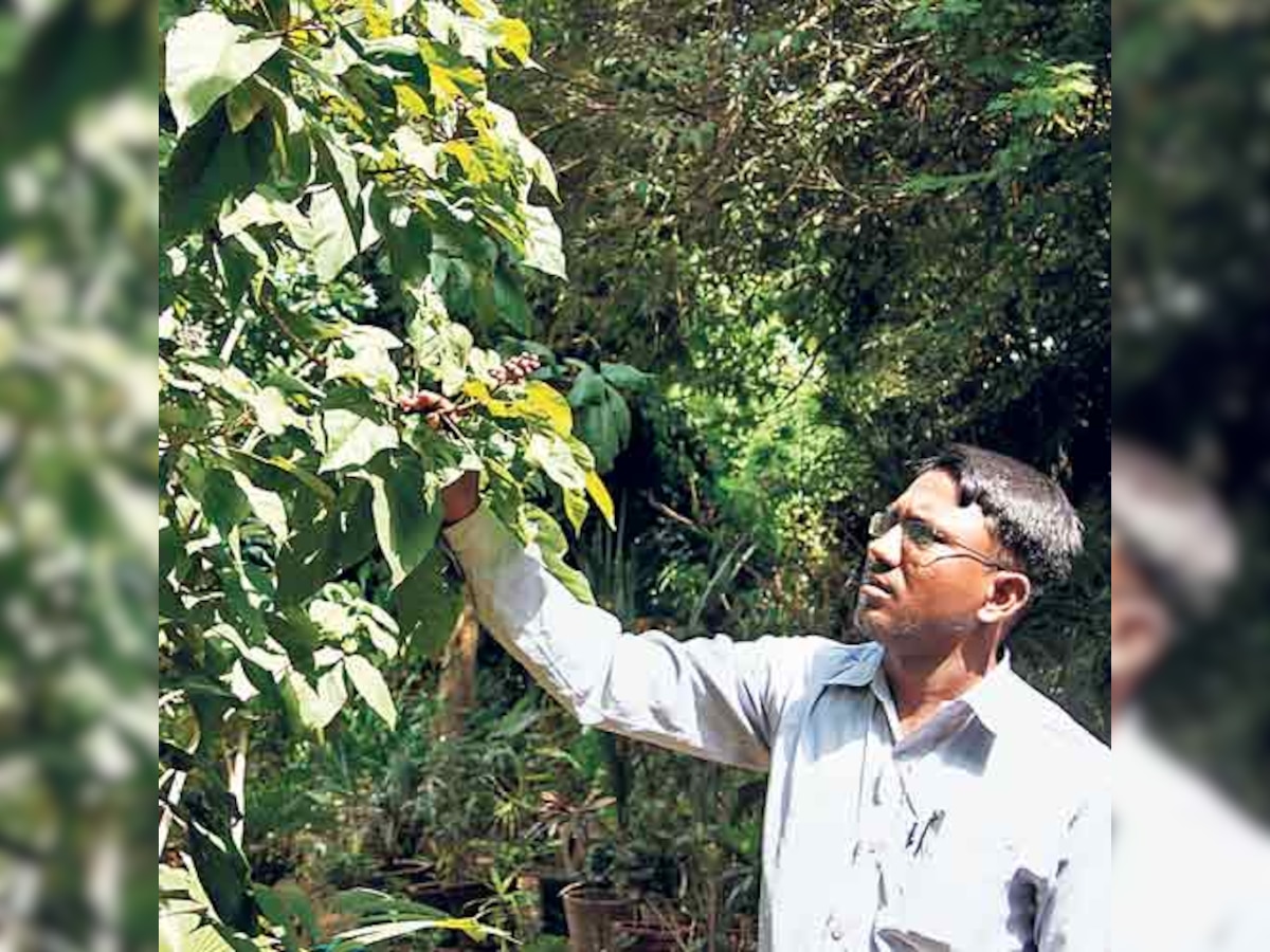 Ahmedabad Municipal Corporation plans to paint its gardens red with ...