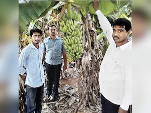 Farm turns bank for BBM grad