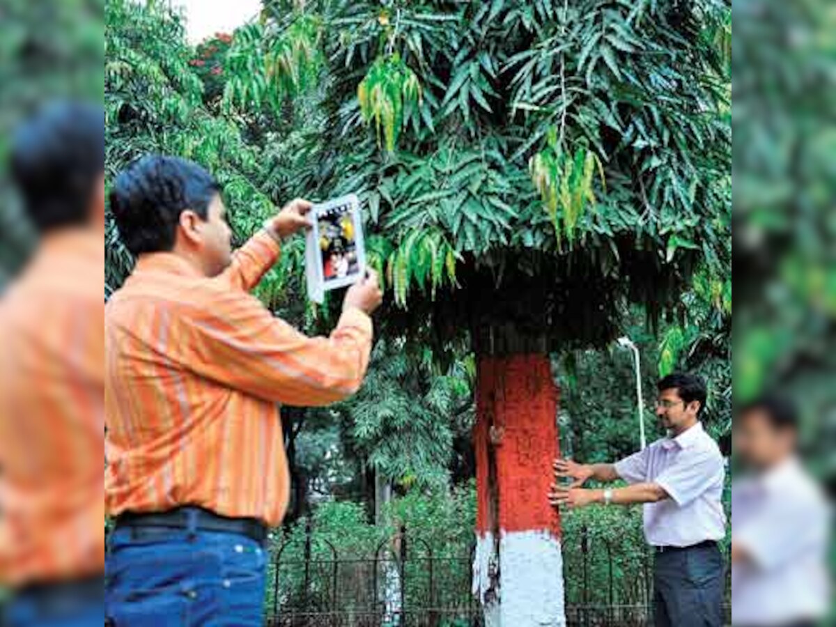 This app makes tree census a minute's job!