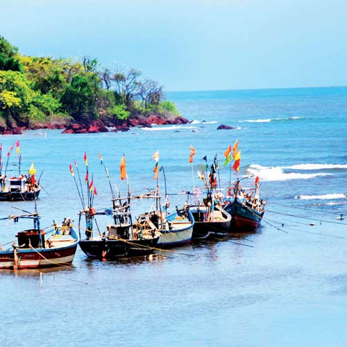 Trailing The Konkan Coast