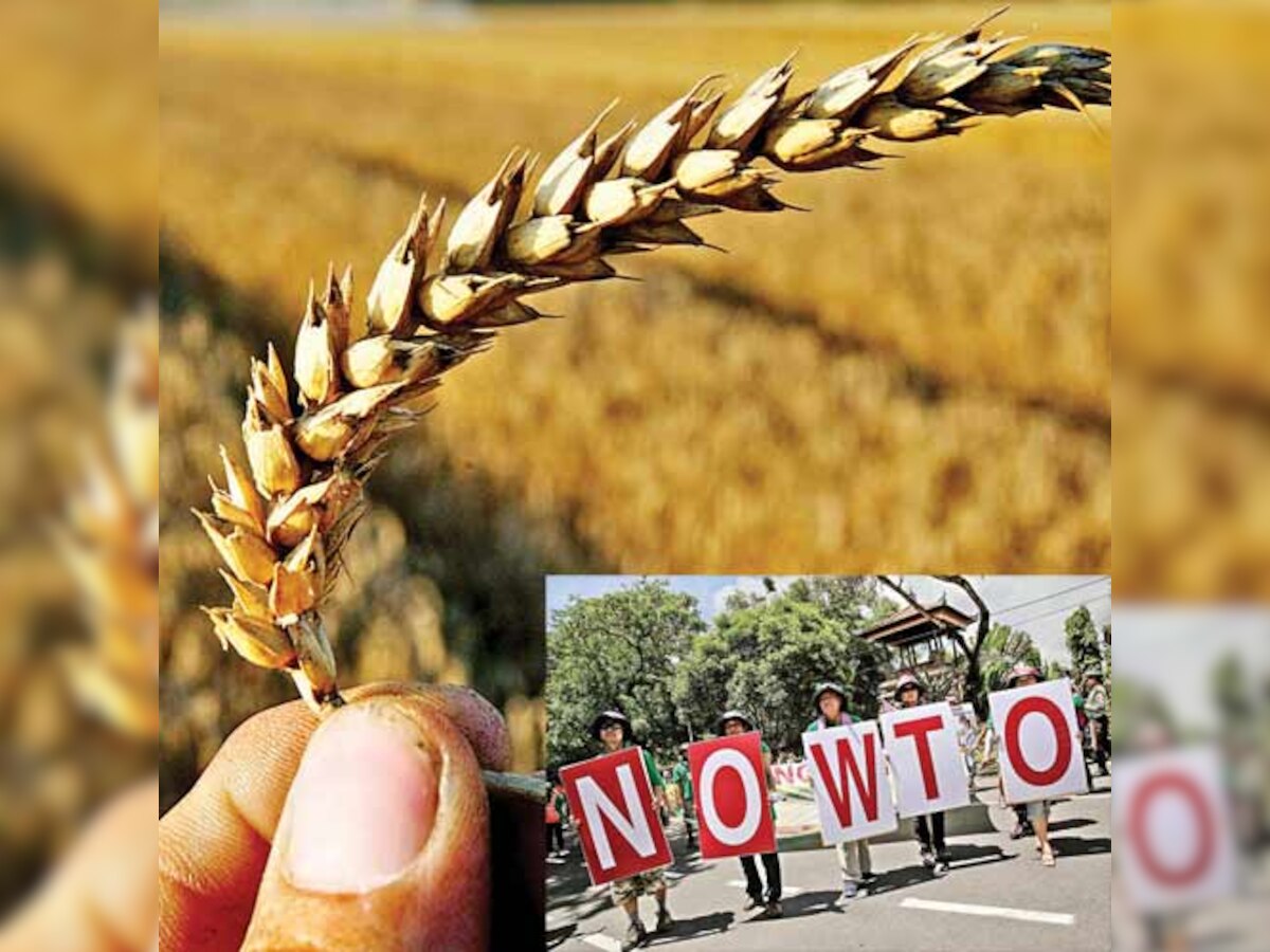 Bali is over, now look to the TPP summit in Singapore and beyond