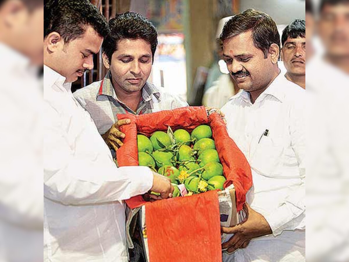 Navi Mumbai: Alphonso mangoes hit APMC market, residents elated