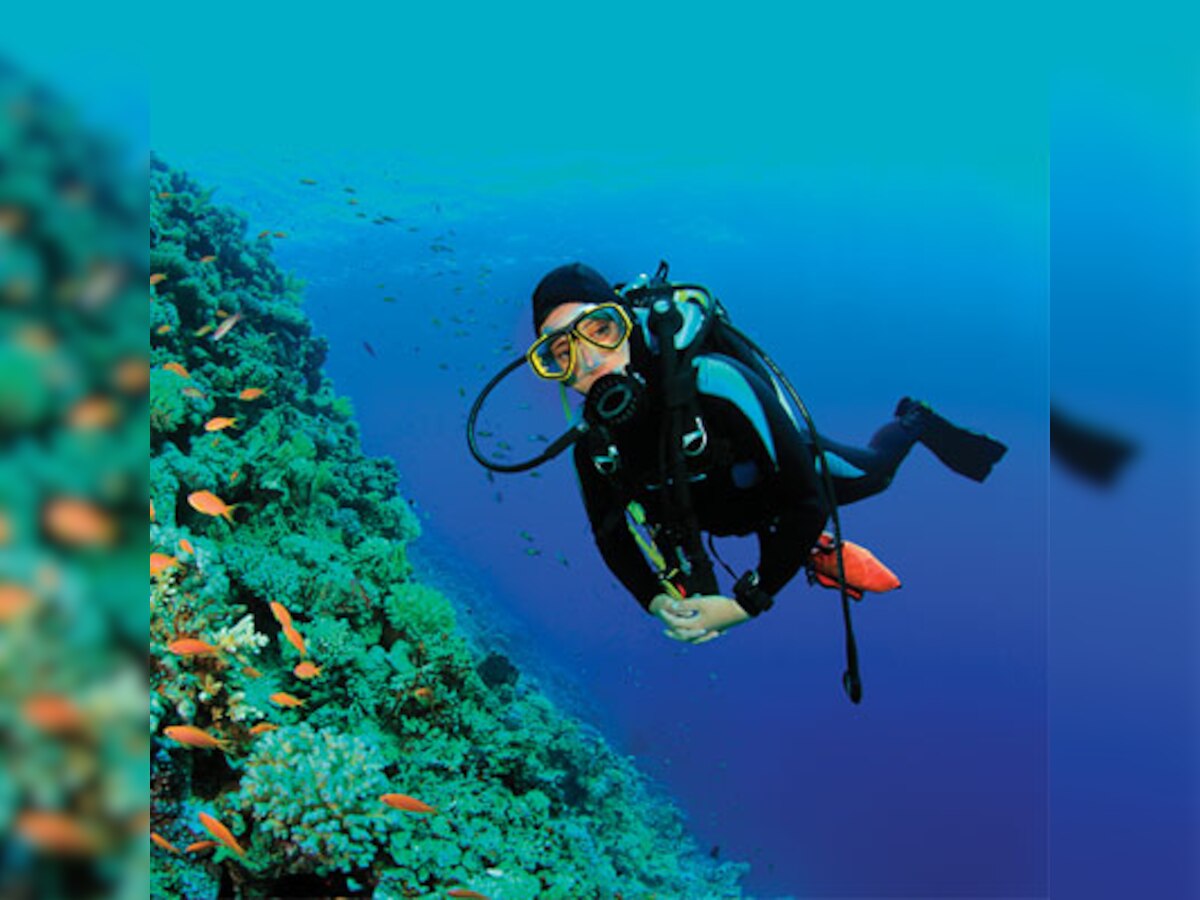 Freediving in the Arabian Sea