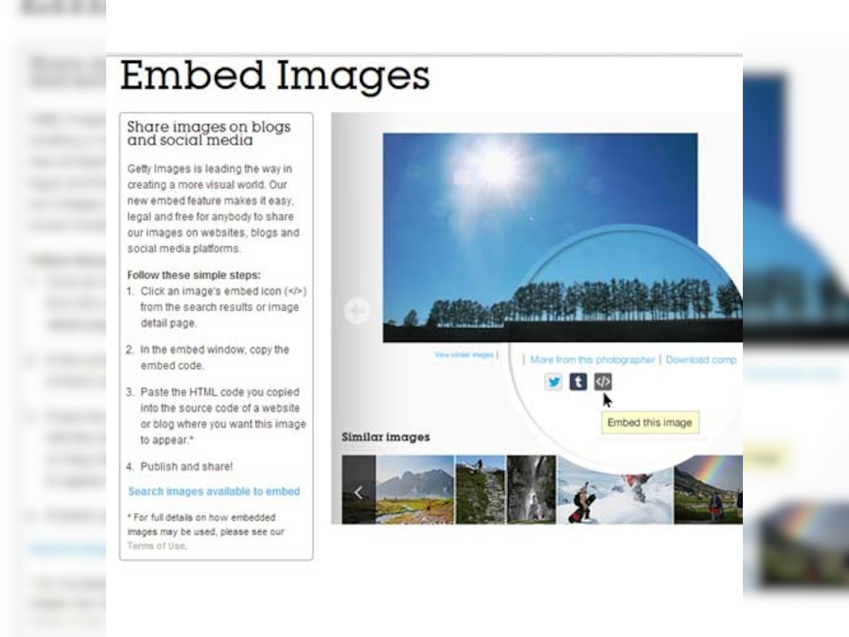 Getty's new embed tool will let you post its photos on Twitter, Tumblr ...