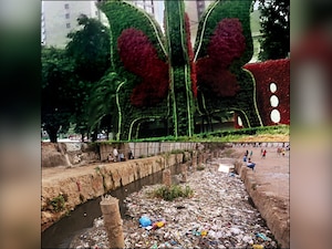 Shanghai-style butterfly garden to come up over Irla nullah