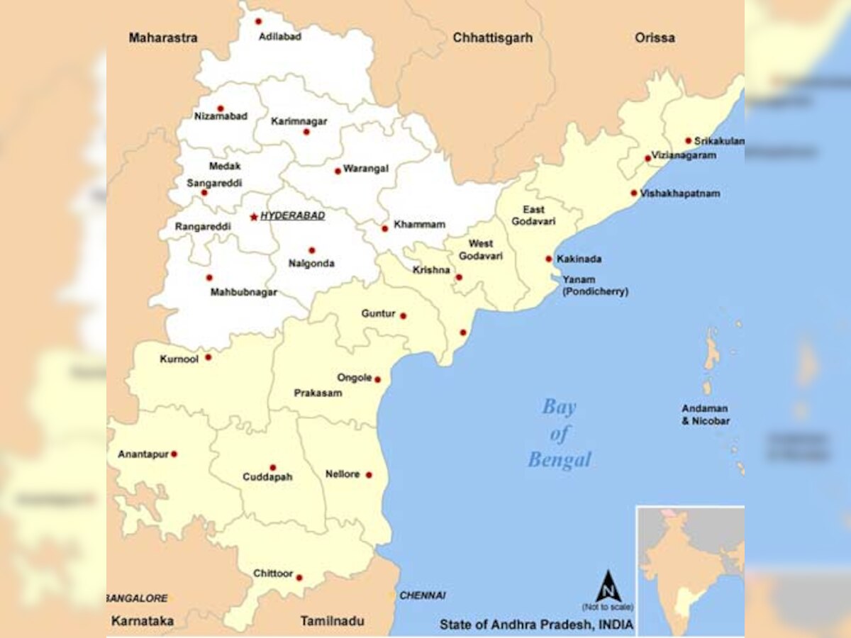 Seemandhra Assembly polls: TDP-BJP alliance on victory path