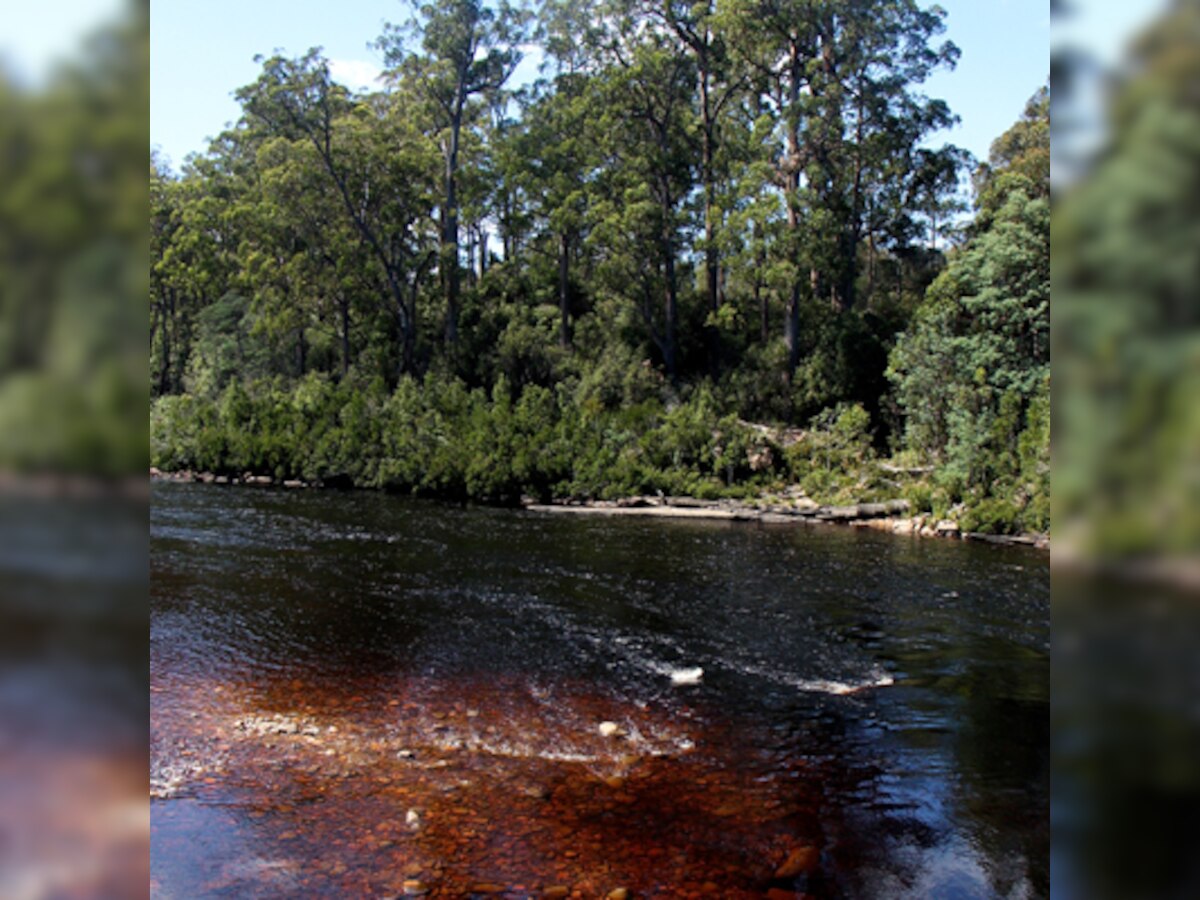 Tasmania's Huon Valley: Adventure, Signs and Serenity