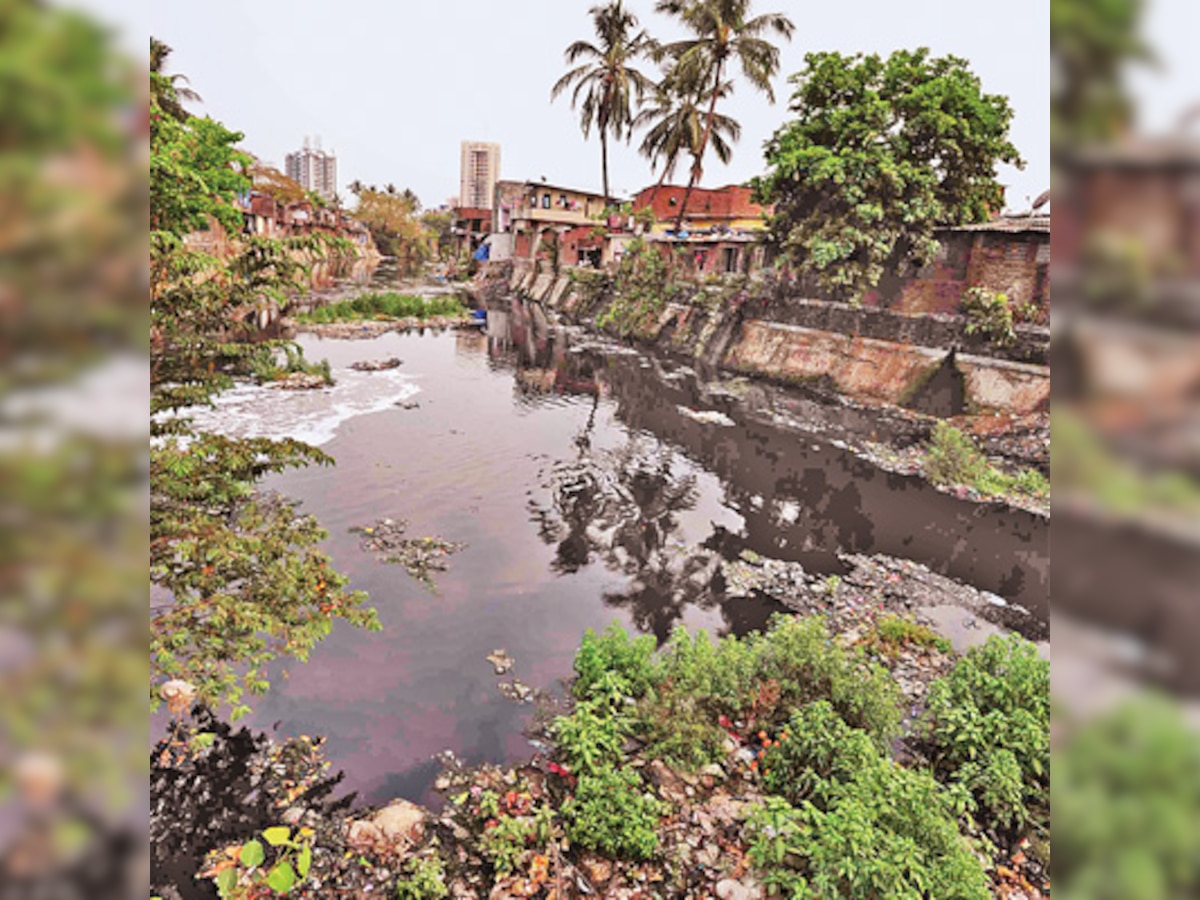 What makes Maharashtra and Gujarat rivers most polluted in the country