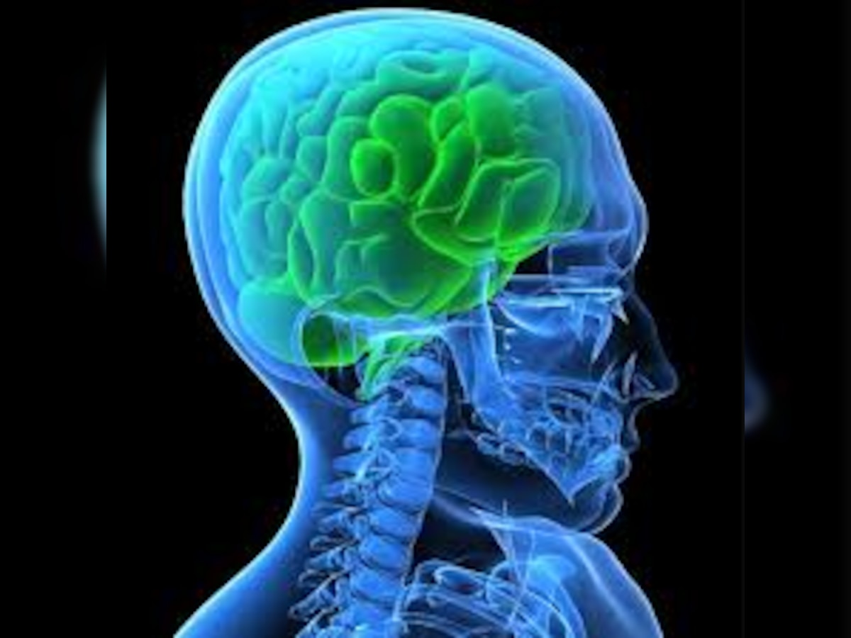 Indian origin boy is now Britain`s brainiest student