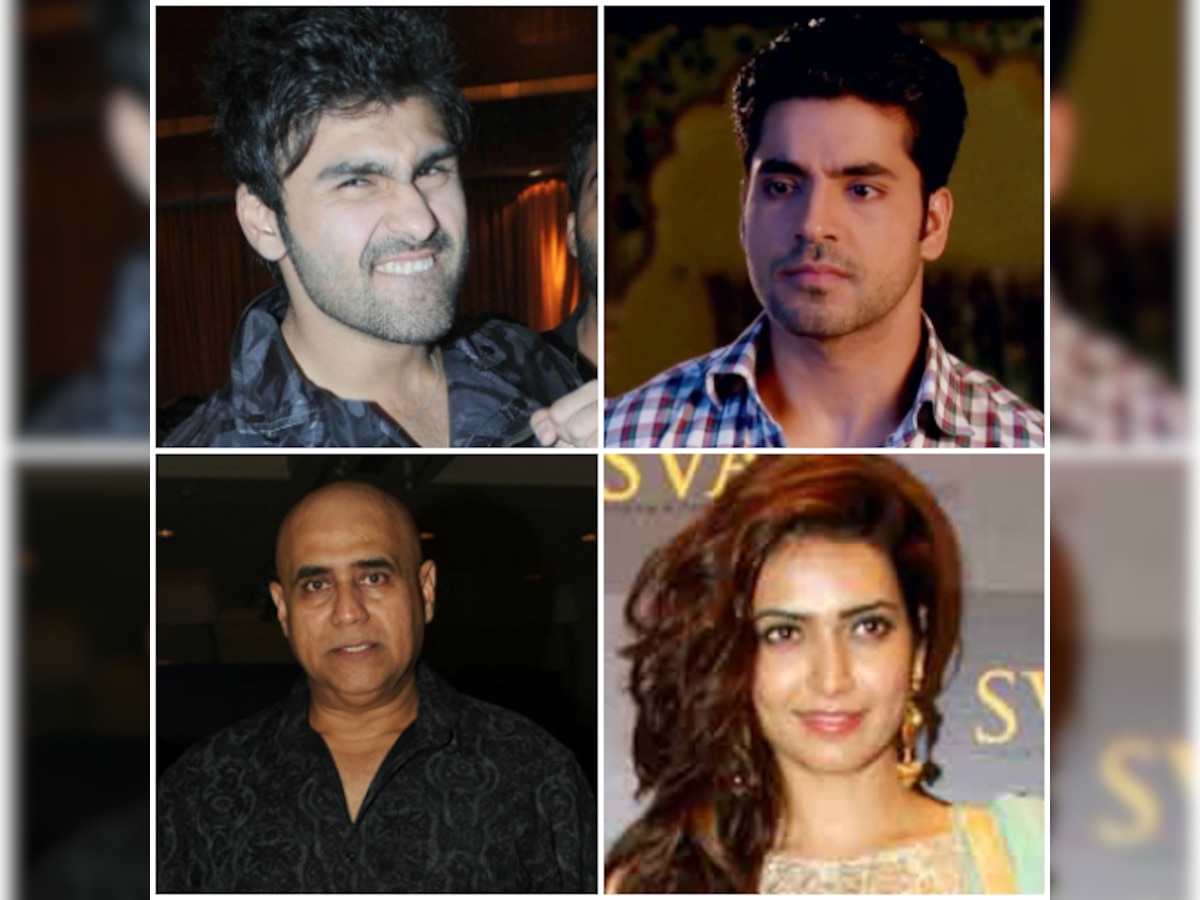Bigg Boss 8: Karishma Tanna, Aarya Babbar, Puneet Issar and Gautam ...