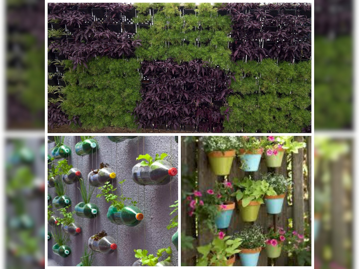 Making the city green, one micro landscape at a time