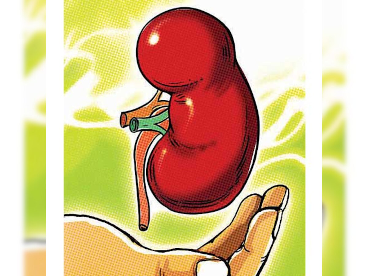 6-year-old girl's kidneys 'missing' after operation at AIIMS, says father