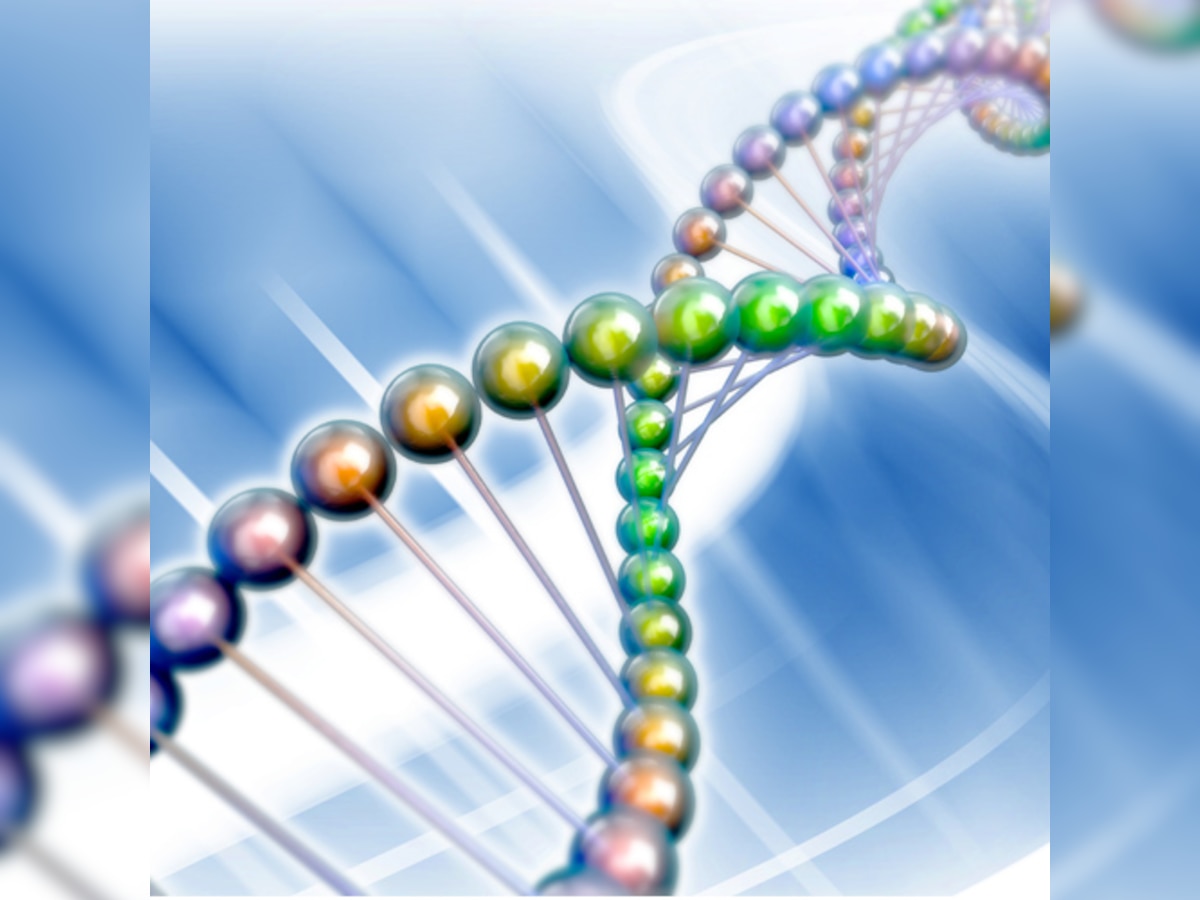 Scientists identify genes which make you look 10 years younger