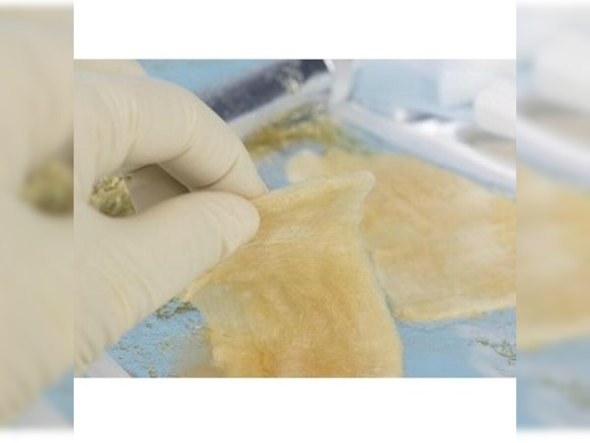 Elastic gel that can instantly heal wounds developed