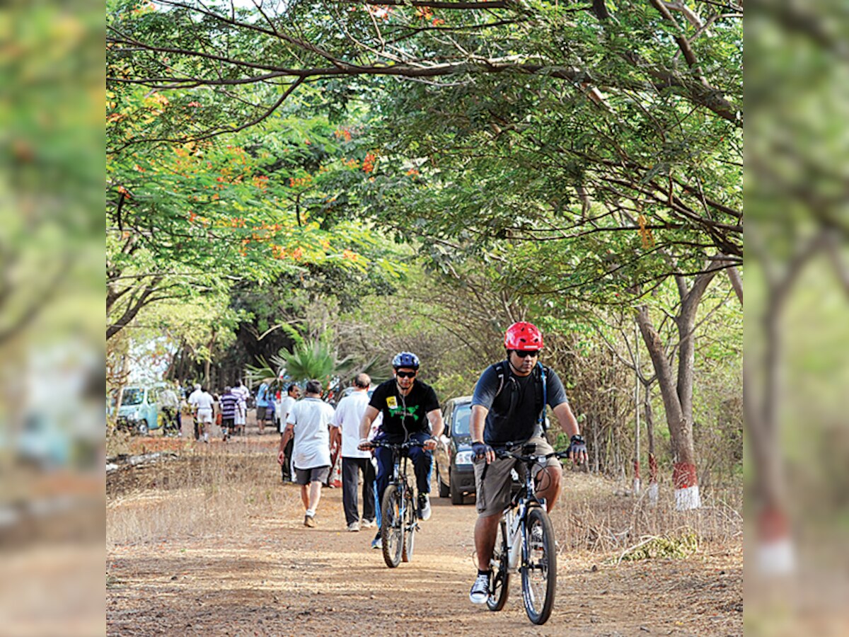 Cultural fest to highlight environmental importance of Aarey colony
