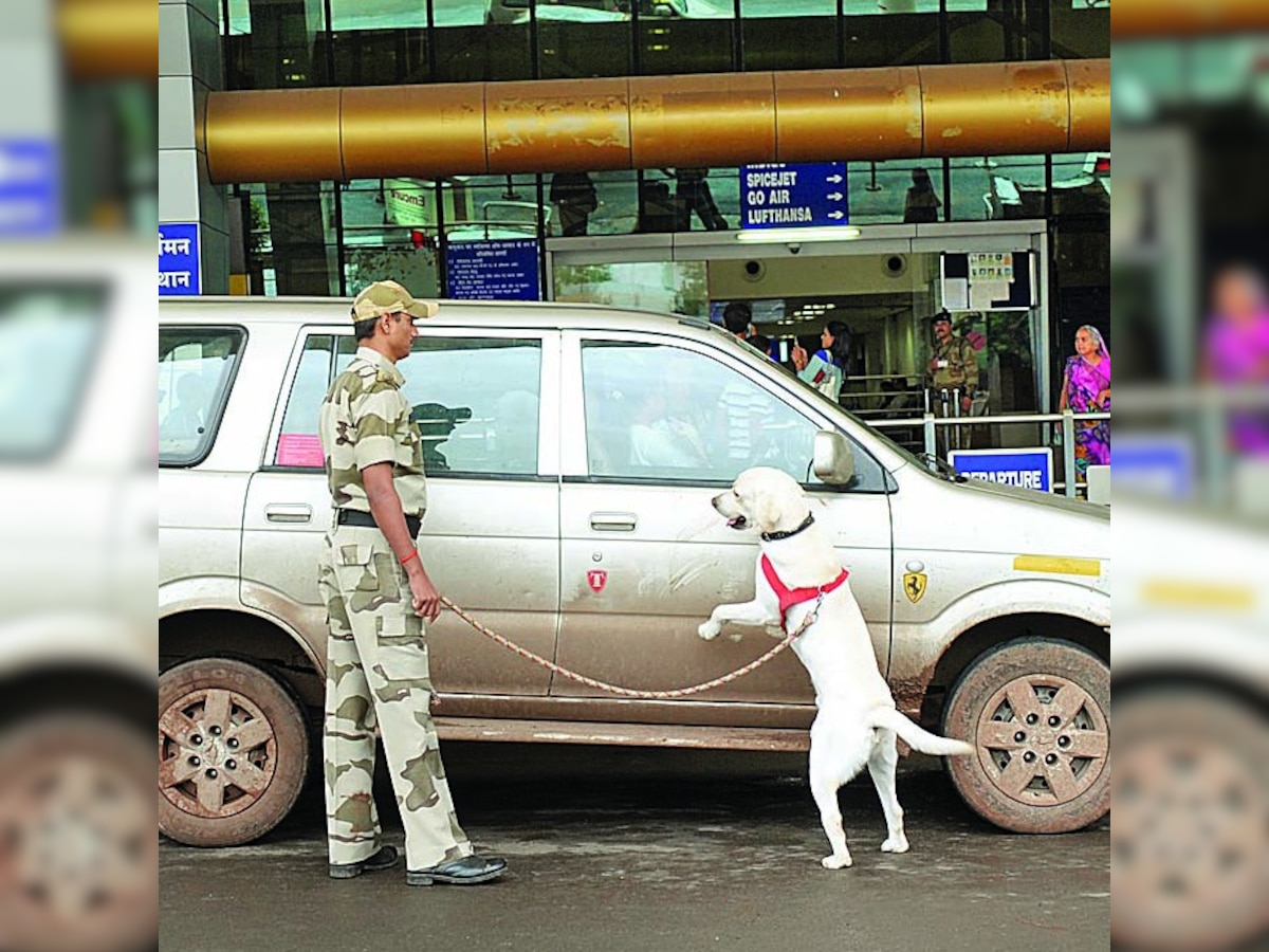 Billionaire's canine first alumnus in Punjab govt's dog training school