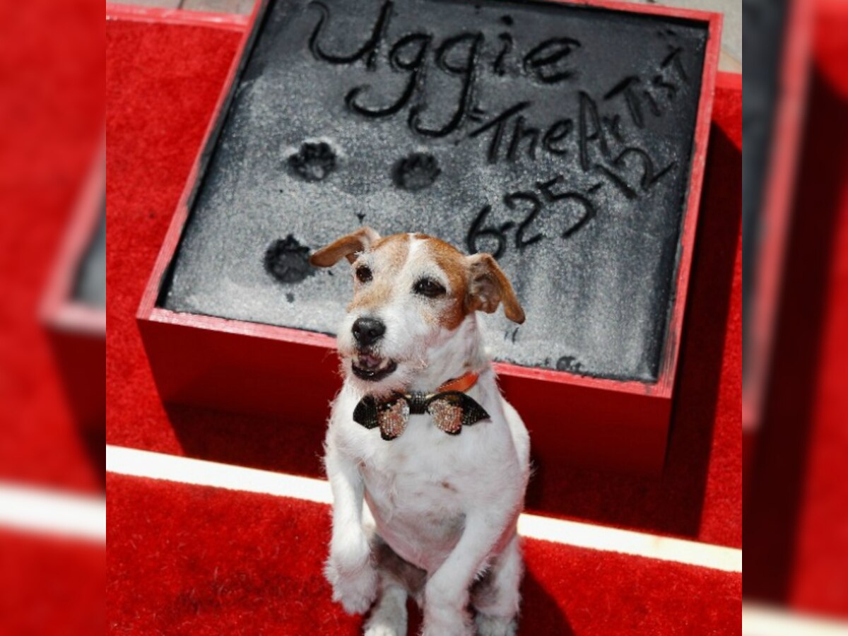 Uggie, canine star of Oscar movie 'The Artist', dies in Los Angeles