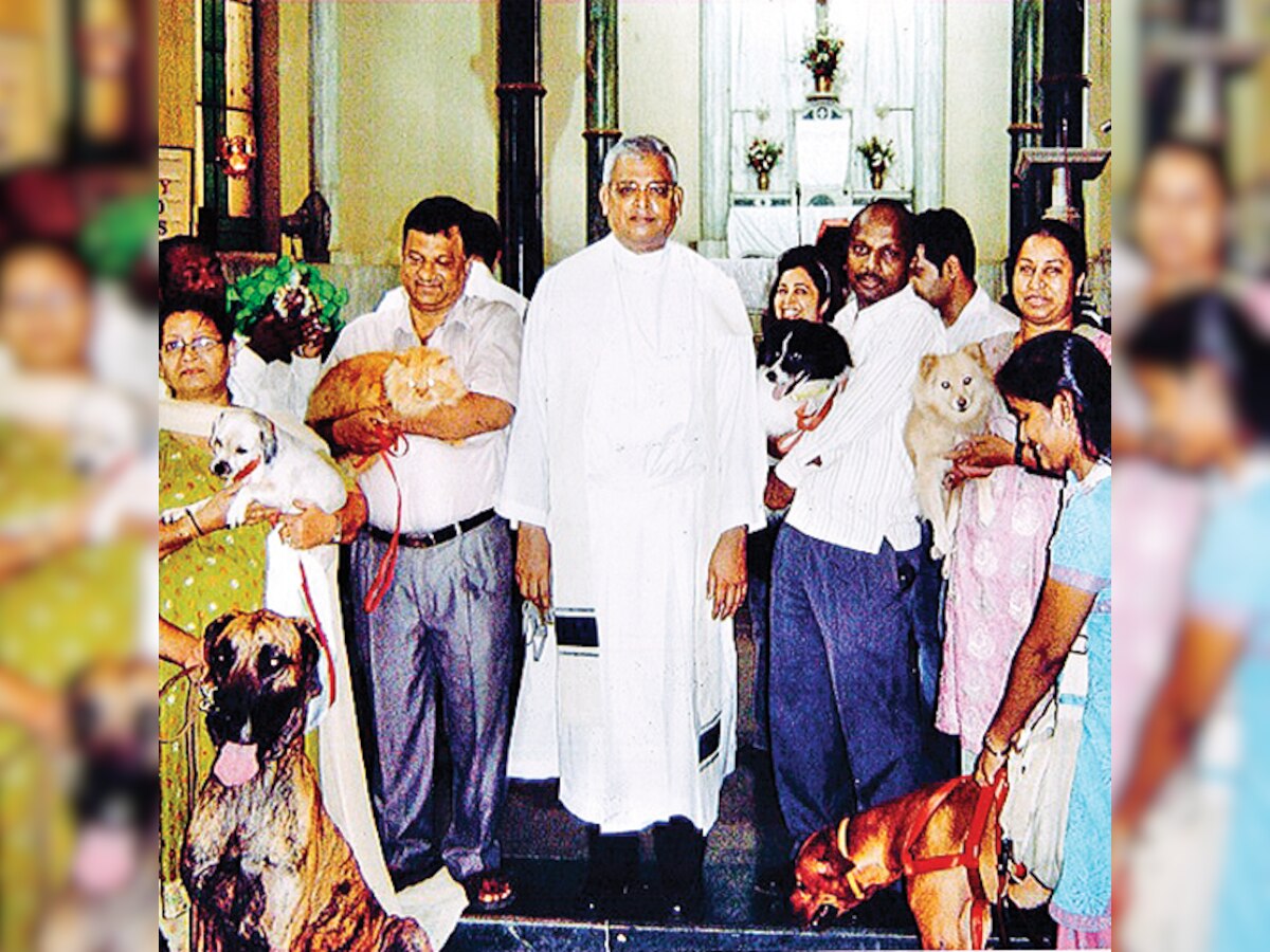 Sacred Heart Church priest to bless Mumbai pets this Sunday