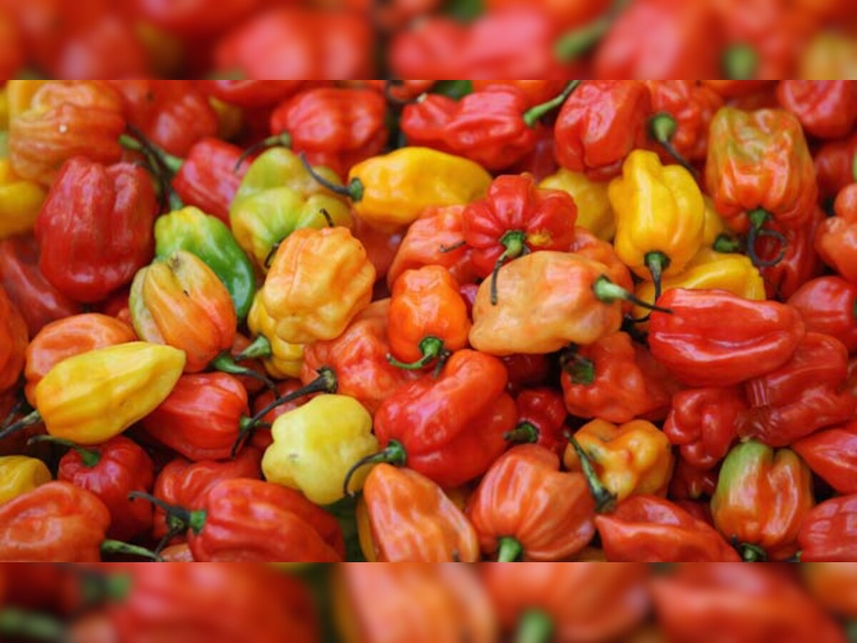 Here's the story of origin and worldwide conquest of chilli