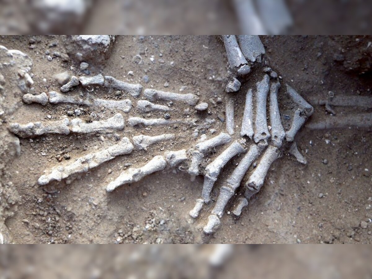 4,500-year-old skeletons found in China