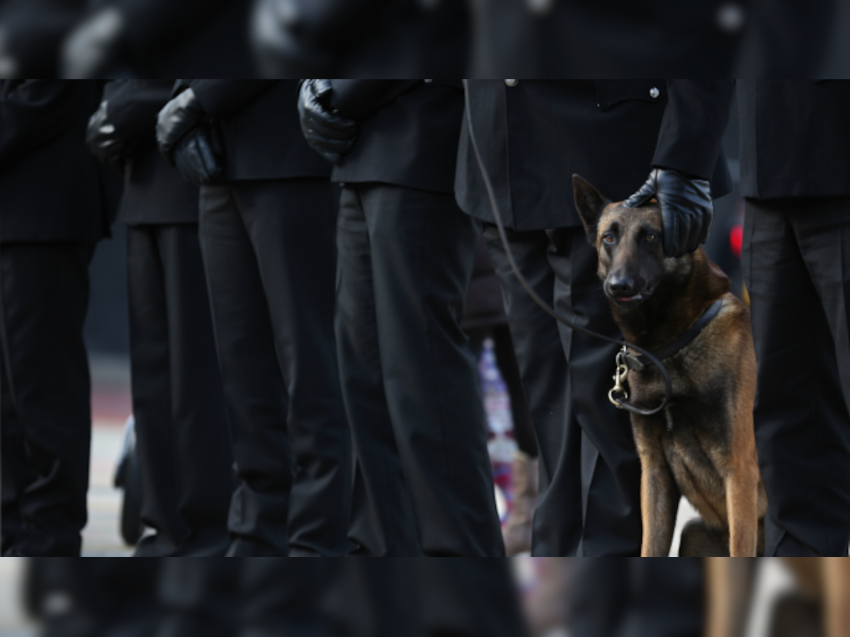 Dog protects British soldiers from ISIS fighters in Iraq