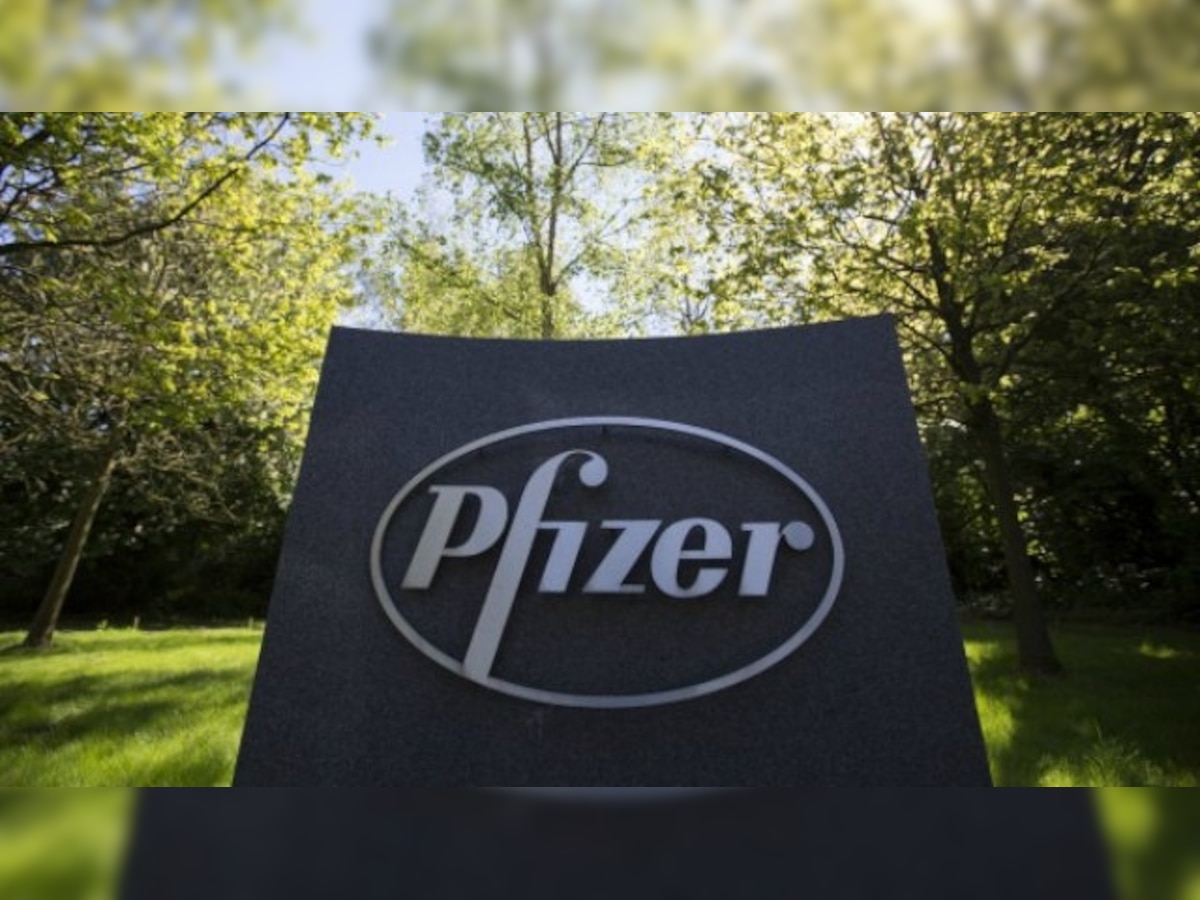 Piramal Enterprises to invest about Rs 110 crore to acquire four Pfizer ...
