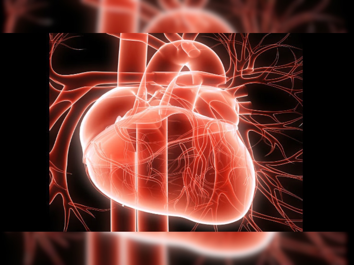 3D virtual heart to predict sudden cardiac death risk
