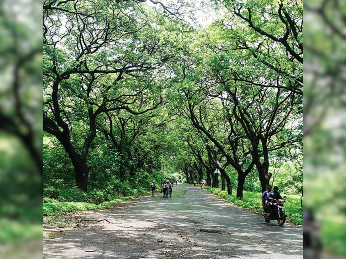 Aarey Colony to host film festival on wildlife conservation and greenery