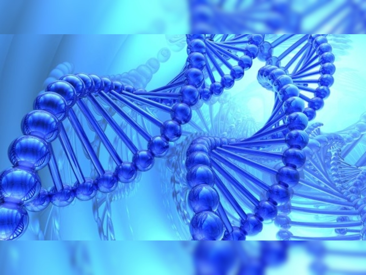 Scientists propose project to build synthetic human genome