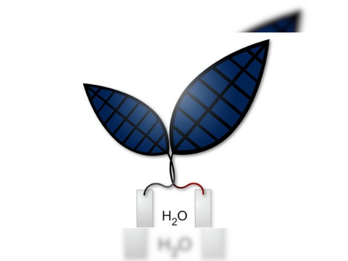 New bionic leaf can turn sunlight into liquid fuel