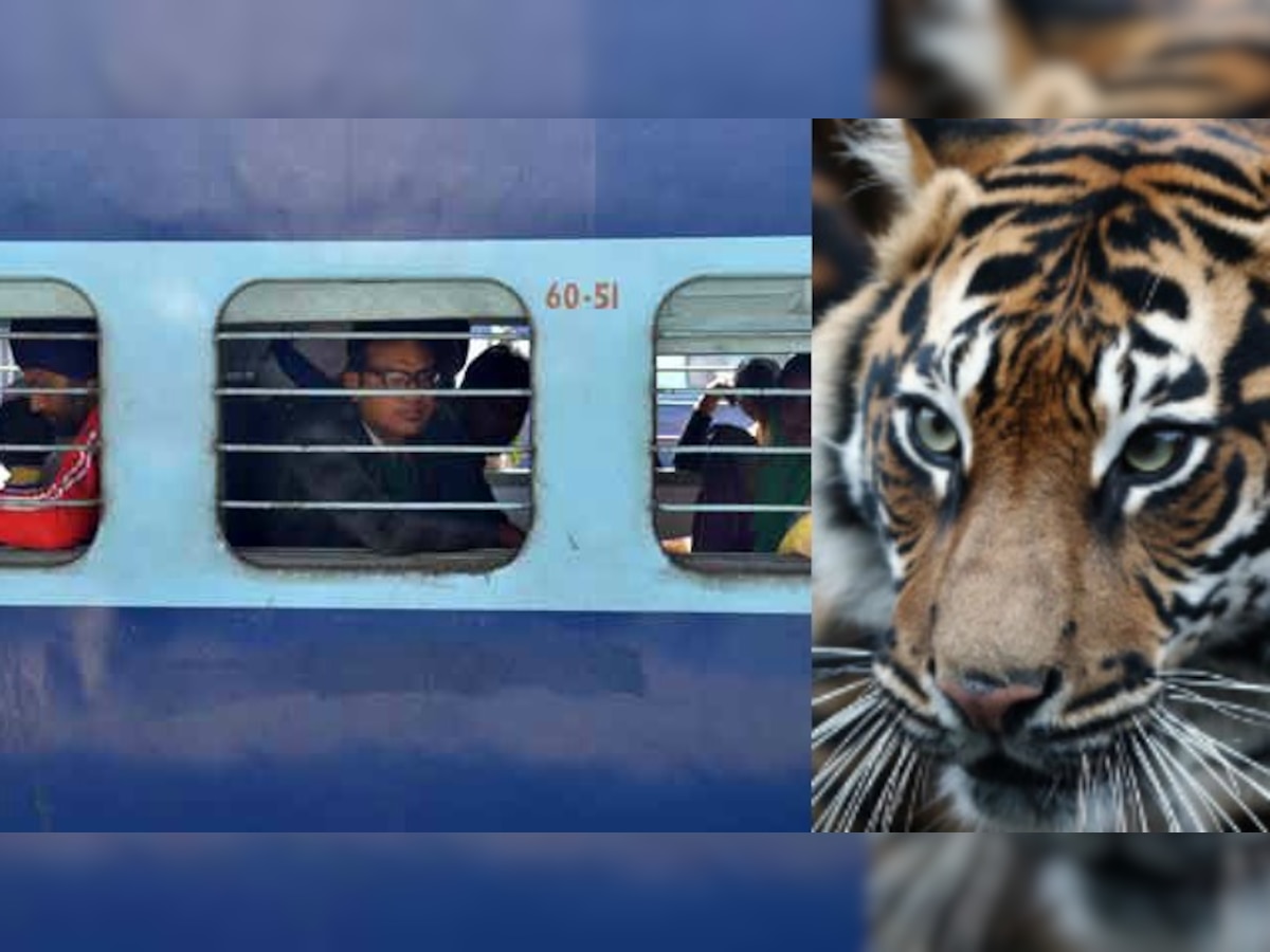 Railways flag off Tiger Express, a tourist train to spread awareness ...