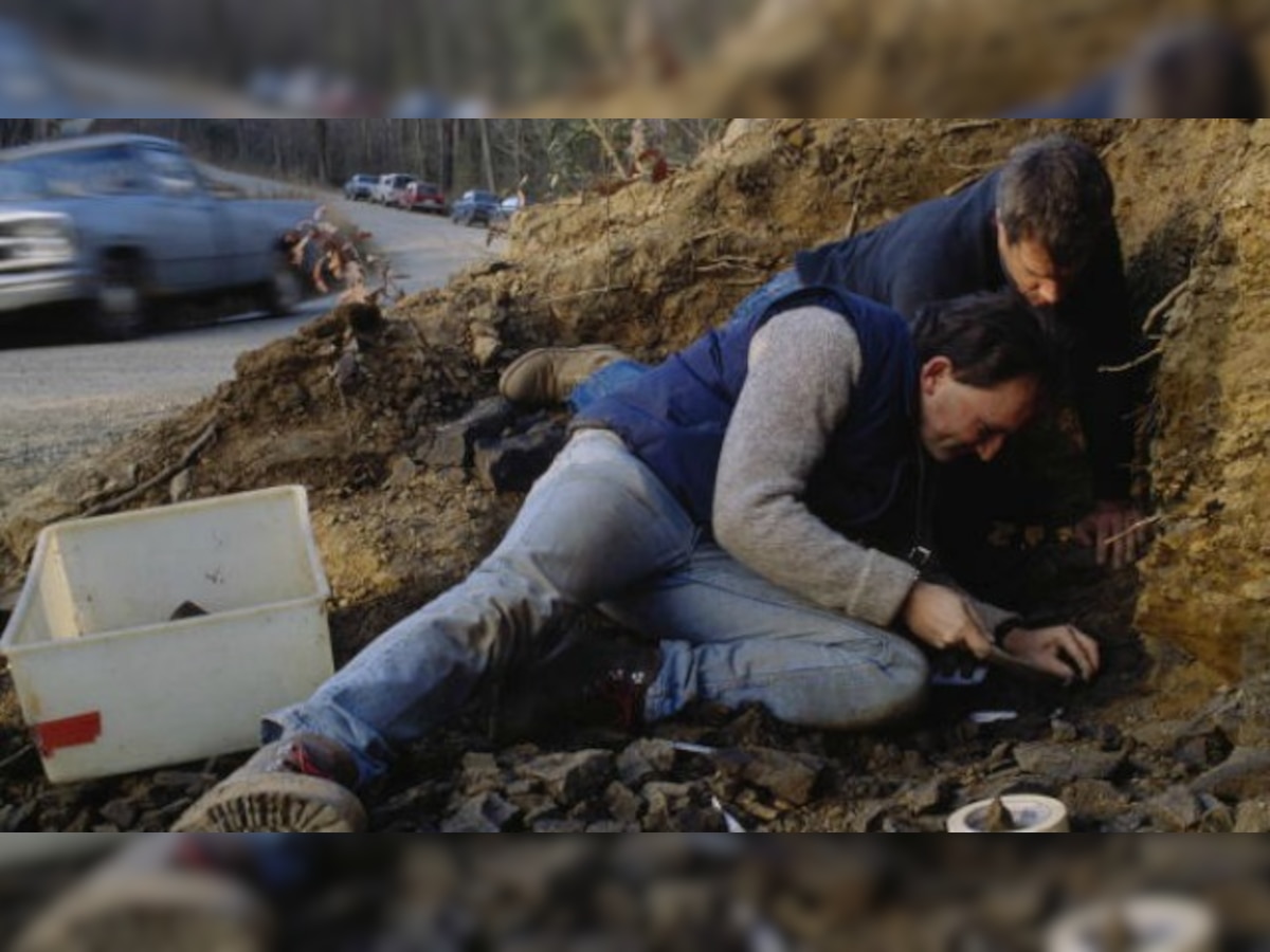 Tiny popcorn-like fossils shed light on how environment affects various ...