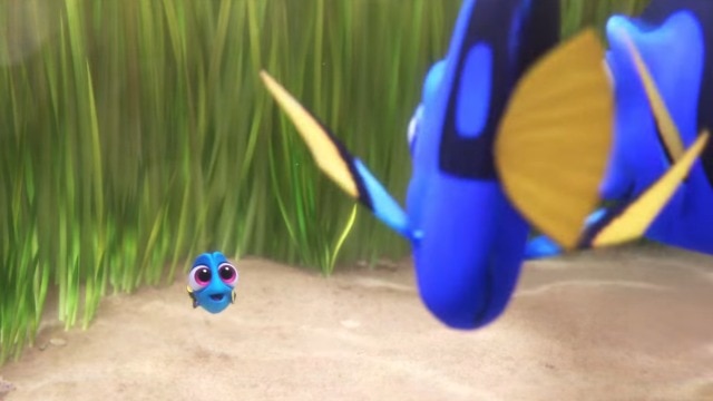 Watch: Pixar's 'Baby Dory' is all kinds of adorable