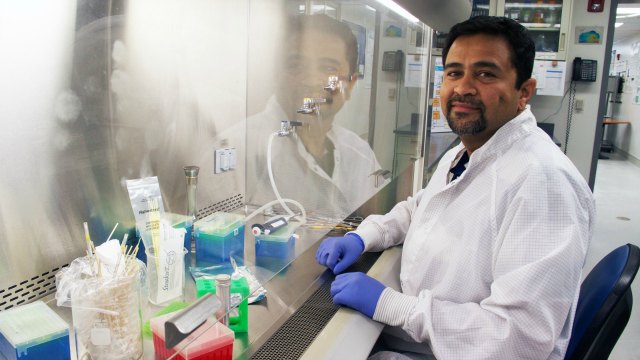 Indian-origin NASA scientist discovers link between bacteria and breast ...