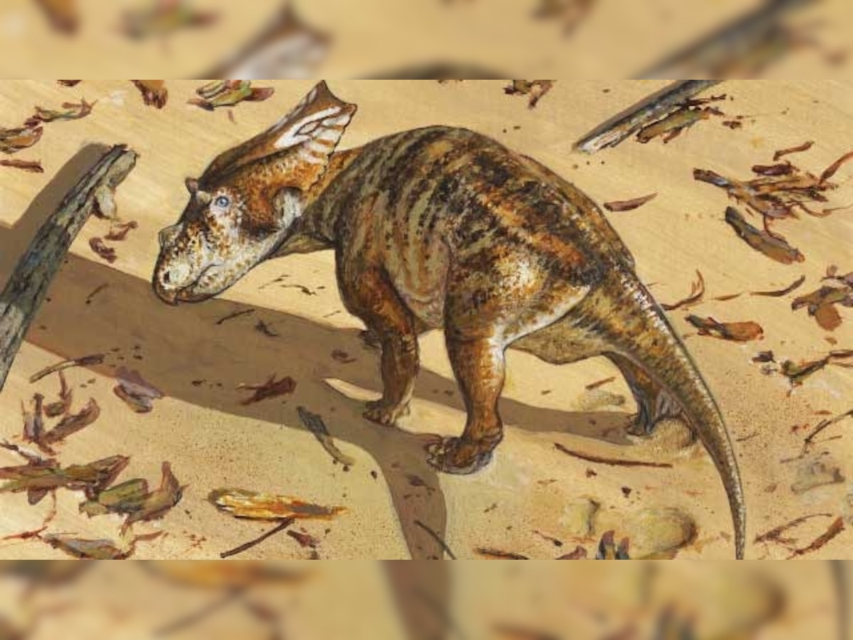 Drastic climate change thanks to soot from meteorite impact may have ...