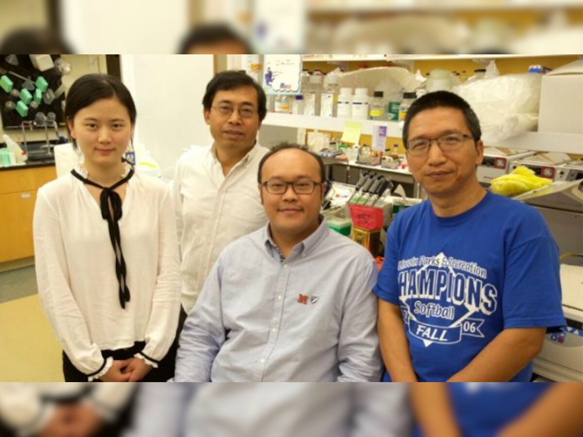 Study finds forms of HIV can cross from chimps to humans