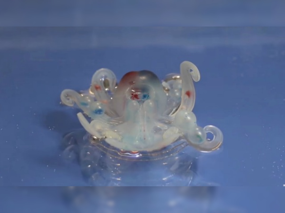 Meet Octobot, world's first entirely soft 3D-printed autonomous robot