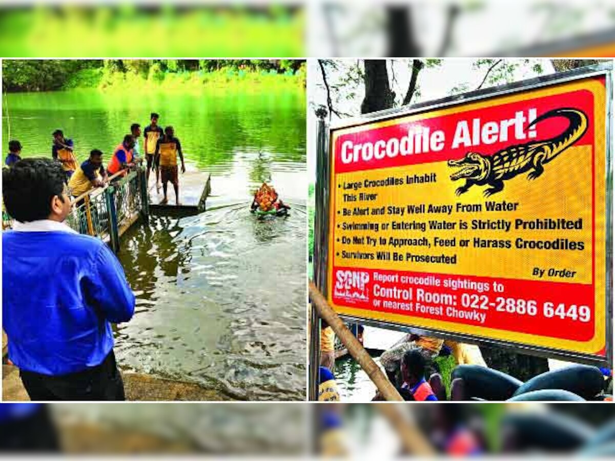 Mumbai: Ganpati devotees throng crocodile-infested SGNP lake despite ...