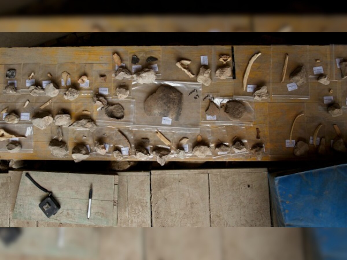 Neanderthals created specialised bone tools: Study