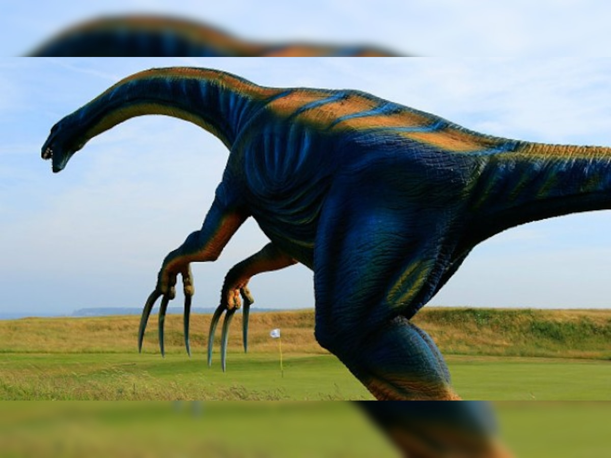 New species of long-necked dinosaur found in Australia