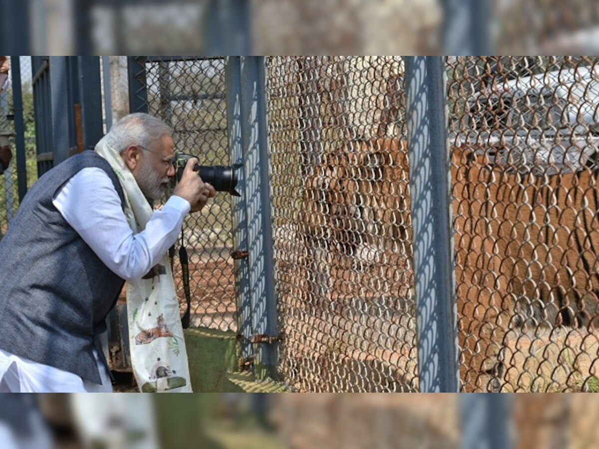 Watch: PM Modi on the other side of lens clicking a tiger