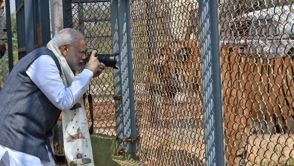 Watch: PM Modi on the other side of lens clicking a tiger