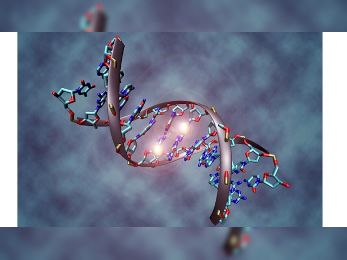 Researchers develop new method to study gene function